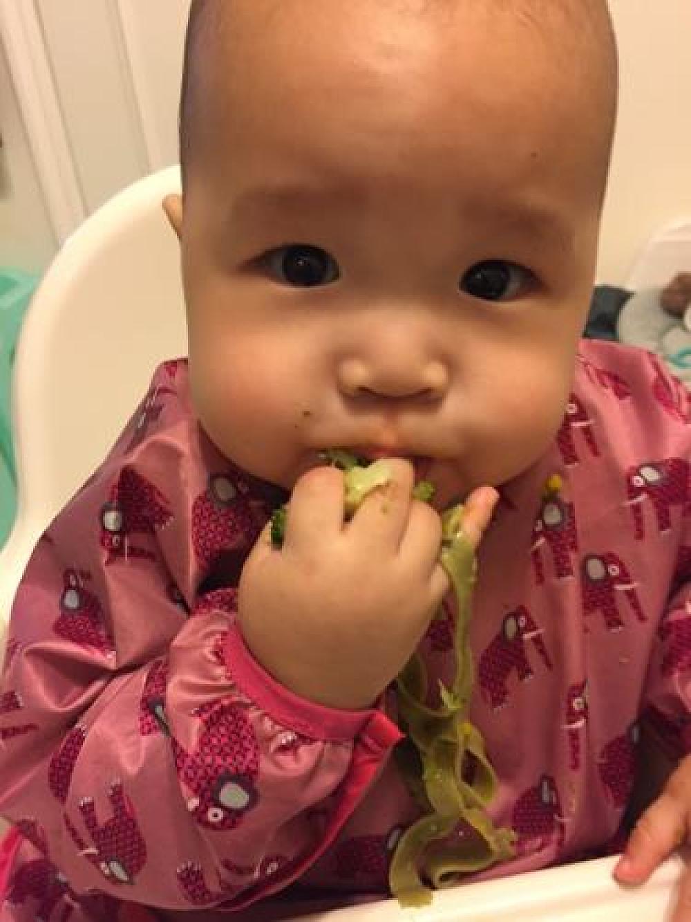 【BLW入門】甚麼是BLW？BLW不等於用手食！ - Parents Daily